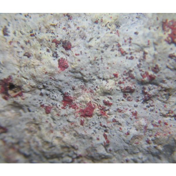 辰砂(CINNABAR)産地　奈良県桜井市針道　多武峰鉱山母岩中に2ミリ未満の本鉱が点々と含まれているもの。