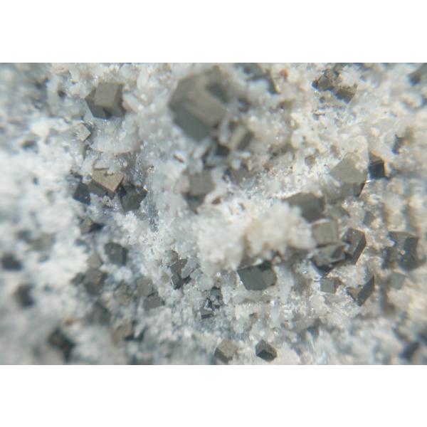 黄鉄鉱(PYRITE)　産地　愛知県北設楽郡東栄町粟代鉱山球状の母岩中に1mmほどの黄鉄鉱がみられる標本。褐色の箇所は苦灰石といわれています。当地では、このような塊の中の輝安鉱〜ベルチェ鉱の放射状結晶が銘柄品として知られています。この標本に...