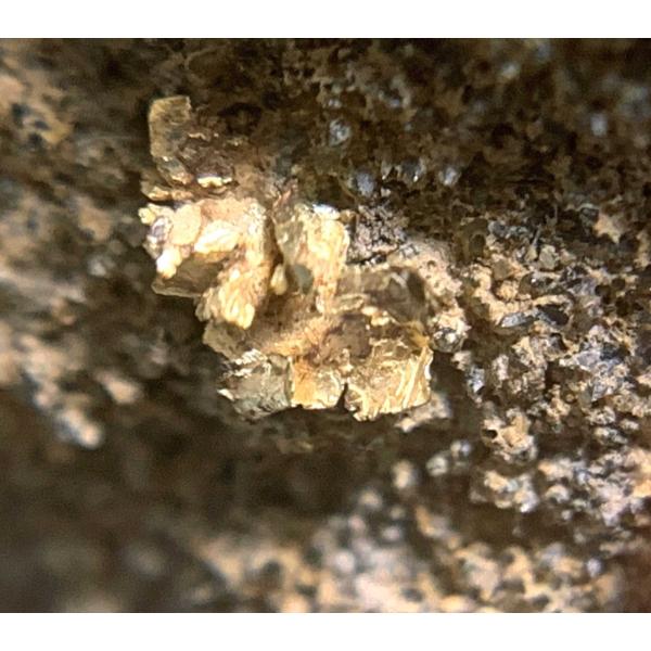 自然金(GOLD) 産地　群馬県利根郡みなかみ町　天沼鉱山細かな水晶のうえに肉眼で確認できる平面的な自然金の結晶が観察できます。青または黒色のマーカーで自然金の位置を囲った跡があります。結晶の見られる部分以外は切断研磨され、母岩の保護のため...