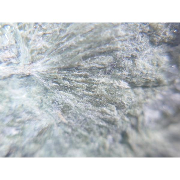 灰鉄輝石(HEDENBERGITE)福井県大野市大納　中竜鉱山長さ1cm程の柱状結晶の集合が見られます。白色部分は主に方解石と石英。