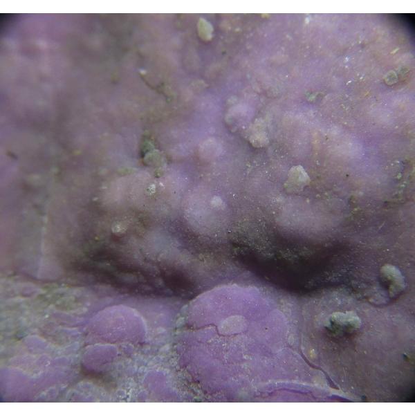 含コバルト方解石(cobaltian CALCITE)産地　Tynesbotlstom mine,Alston moor,Cumbria,Uk不純物としてコバルトを含むことにより、赤紫色を呈する方解石。母岩の表面を薄く(1mmほど)覆っています。