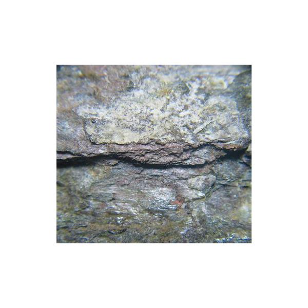自然銅(COPPER)産地　奈良県吉野郡東吉野村三尾鉱山緑色の変成岩中に自然銅が箔状、糸状あるいは粒状に含まれています。新鮮なうちは赤銅色ですが錆びるにしたがい赤黒くなってきます。