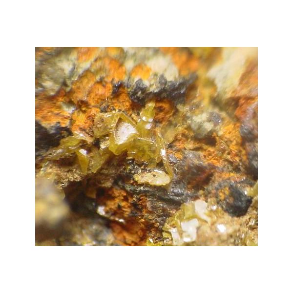 モリブデン鉛鉱(WULFENITE)　福井県大野郡和泉村中竜鉱山仙翁谷坑　異極鉱を伴う母岩の表面にオレンジ色の結晶が見られます。最大0.5mm未満。