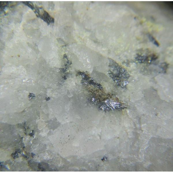 輝水鉛鉱(MOLYBDENITE）産地　岐阜県中津川市蛭川恵比寿鉱山鉄マンガン重石を伴うもの。個々のサイズは数ミリ未満。