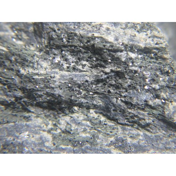 磁鉄鉱(MAGNETITE)京都府相楽郡和束町犬打峠変成岩中に細かな磁鉄鉱の結晶が散らばるもの。結晶サイズは0.5mm未満。