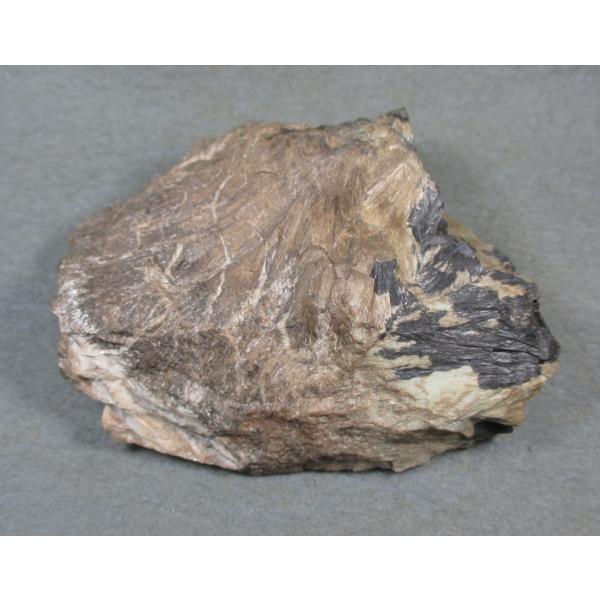 ヨハンセン輝石(JOHANNSENITE)岡山県真庭郡勝山町大名草鉱山比較的早く酸化するため、ヨハンセン輝石特有の青緑色を保つことはなかなか難しく、この標本でも表面は茶色く変色しています。