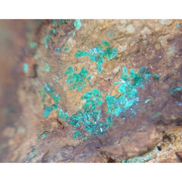 AGARDITE-(Y)(イットリウムアガード石)産地　岡山県小田郡矢掛町横谷　弥高鉱山母岩の表面にみられる二次鉱物。
