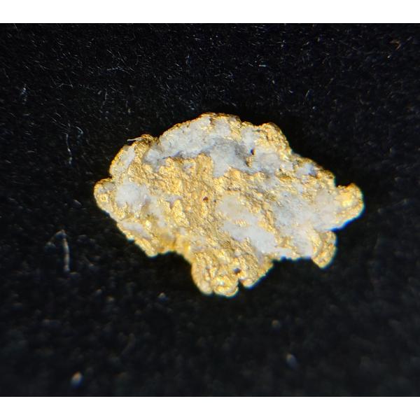 自然金(GOLD)産地　京都府京都市左京区鴨川上流砂金として得られたものですが、石英中に伴われるため供給地に近いものと思われます。