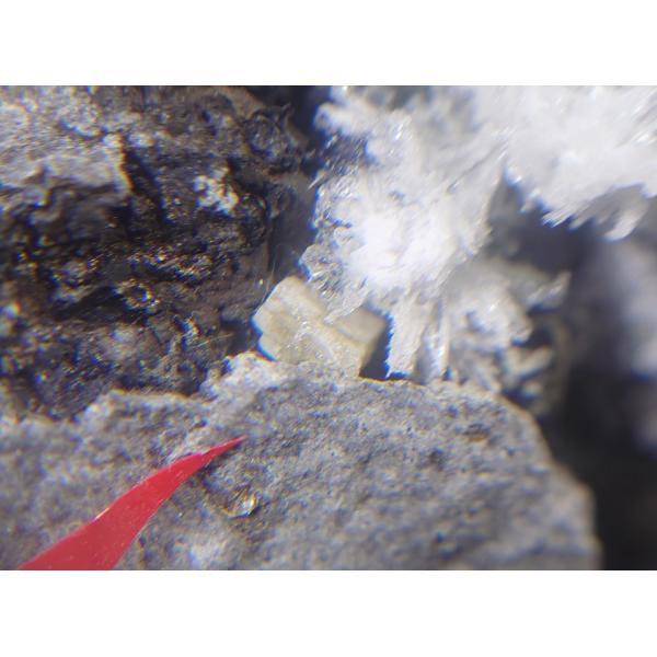 ネオジムランタン石(LANTHANITE-(Nd))産地　佐賀県東松浦郡肥前町満越第四紀のアルカリ玄武岩の空隙に板状の結晶として見られます。白熱灯〜太陽光では淡いピンク色ですが、蛍光灯のもとでは帯青白色に変化します。あられ石や玉滴石を伴って...