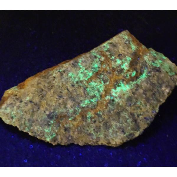 燐灰ウラン石(AUTUNITE)岐阜県土岐市定林寺花こう岩のクラックに沿って見られるもの。肉眼的には結晶等よくわかりませんが、紫外線を照射することによって、その存在を確認することができます。