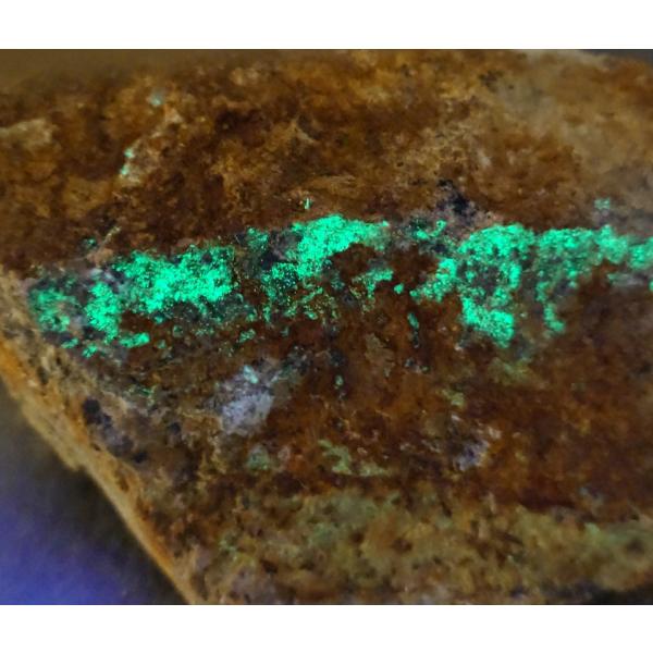 燐灰ウラン石(AUTUNITE)岐阜県土岐市定林寺花こう岩のクラックに沿って見られるもの。一部にルーペで本鉱が確認できますが、多くの箇所では肉眼的に結晶等よくわかりません。そのような箇所でも紫外線を照射することによって、その存在を確認するこ...