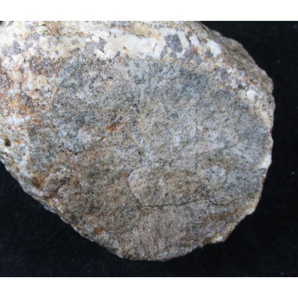 球状花こう岩(Ball Granite)産地　愛知県豊田市猿投山広沢川別名ナポレオン岩とも呼ばれていますが、特に猿投山のものは「菊石」とよばれ古くから親しまれています。猿投山の球状花こう岩は昭和6年に国の天然記念物に指定されています。天然記...