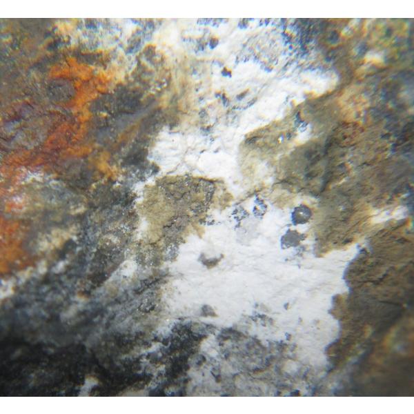 ギブス石(GIBBSITE)京都府亀岡市湯ノ花母岩の隙間に見られる白色粘土状のもの。