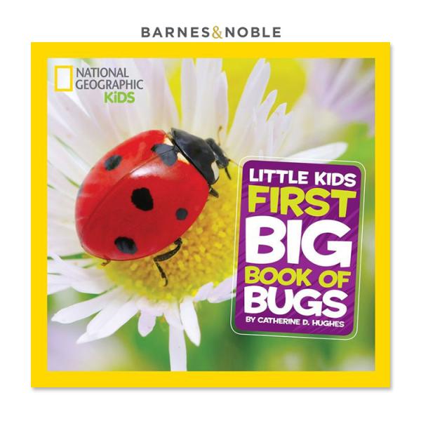 ※メーカーによりデザイン、成分内容等に変更がある場合がございます。▼サイズ約25.1cm (w) x 25.1cm (h) x 1.3cm (d)▼著者Catherine D. Hughes (キャサリン・D・ヒューズ)▼ご注意・詳しくはメ...