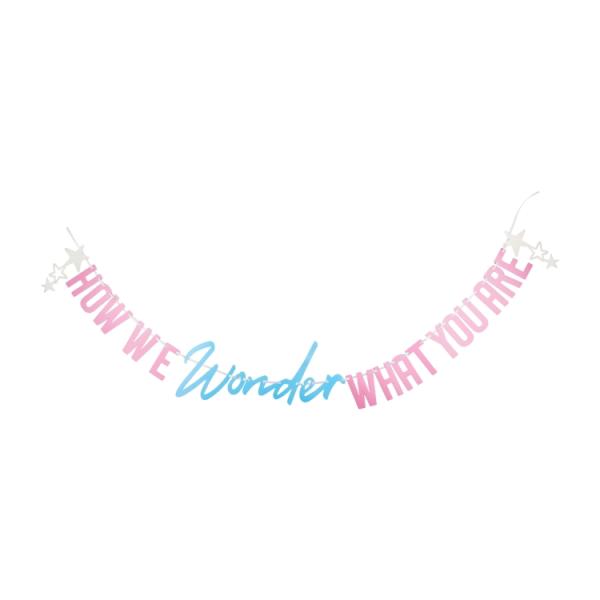 ウェイ トゥ セレブレート ピンク＆ブルー ジェンダーリビール「How We Wonder What You Are」バナー、約193.0cm。上品なピンクとブルーの文字が特徴です。ジェンダーリビールのお祝いに最適。丈夫な高品質素材で作られ...
