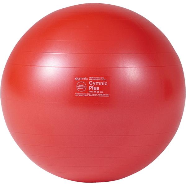 ダンノ DANNO ギムニクカラーボール PLUS 55 D5421R　体ほぐし運動の必需品!楽しく遊び感覚で、全身の筋肉が鍛えられ、体の歪を直すエクササイズボール!ギムニク製品は、厳しいことで知られるドイツ TUV - GS テストにこの...