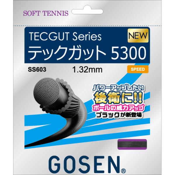 ゴーセン GOSEN ソフトテニス ガット TECGUT 5300 ブラック ソフトガット 軟式 ストリング 部活 競技者 一般 社会人 チーム クラブ レクリエーション  SS603BK　テニス　特許[テックガット]にモノフィラメントをラ...