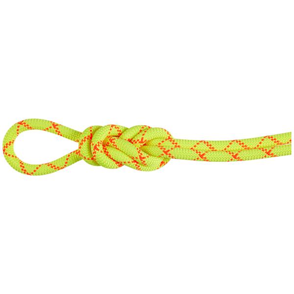 マムート MAMMUT 9.5ALPINECOREPROTECTDRYROPE50M ロープ シングル ハイキング トレッキング クライミング マウンテニアリング 2010-05430  201005430　アウトドア　アルパインクライミン...