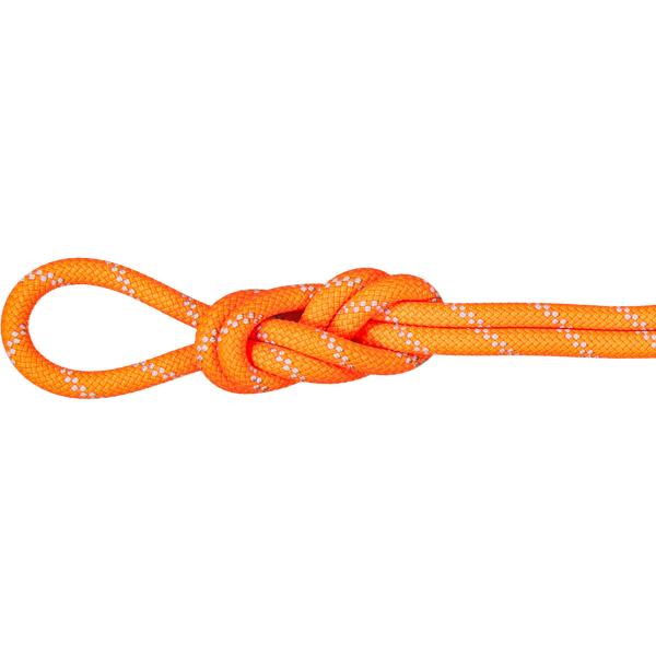 マムート MAMMUT 9.5ALPINEDRYROPE60M ロープ シングル ハイキング トレッキング クライム マウンテニアリング アルパインクライミング 2010-05530  201005530　アウトドア　9.5 Alpine ...