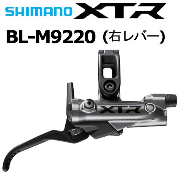 エンデューロ／トレイル向けブレーキレバー- ERGO FLOW テクノロジー- スムーズでコントローラブルなSERVO WAVE- 低粘度ミネラルオイルを使用し、幅広い気温に対応- 指の自然な角度に合う、ピボットポイントとアップスイープのレ...