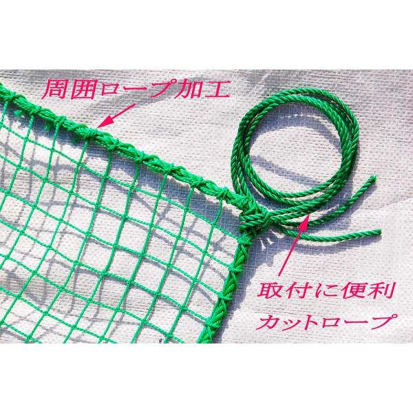 ポリエチレンネット/グリーン/440T/36本/25mm目/無結節網目１目１目丁重に手縫い仕上げしています。周囲のロープ加工は6ミリロープを使用しています。取付に便利なカットロープが四隅に付いています。ネットの線形は2.2φ　細い糸36本が...