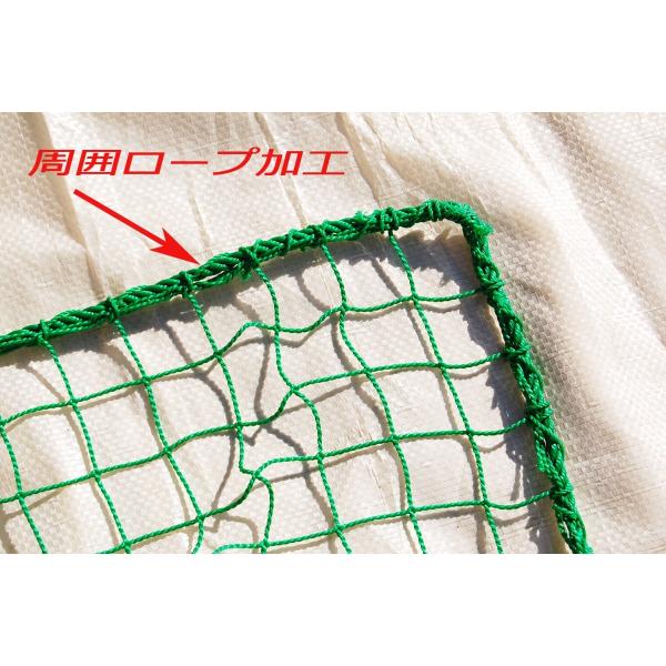 ポリエチレンネット/グリーン/440T/44本/37.5mm目/無結節網目１目１目丁重に手縫い仕上げしています。周囲のロープ加工は6ミリロープを使用しています。ネットの線形は2.4φ　細い糸44本が撚り合わさり1本の網糸になります。原反（げ...