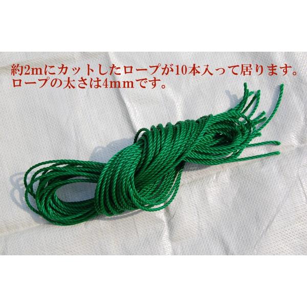 ポリロープ4ｍｍ/2ｍカットロープロープの太さが約4ｍｍです。約2ｍにカットしたロープ10本入りです。色はグリーンです。ネットの取付けに最適です。