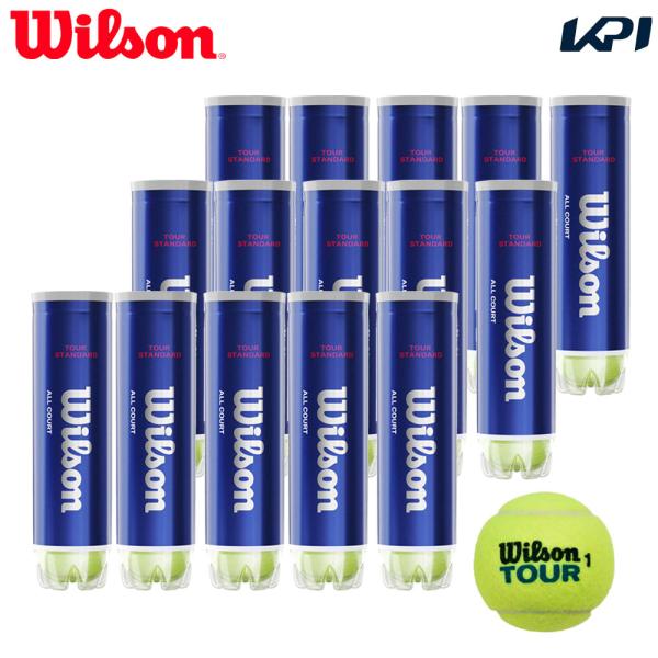【SDGsプロジェクト】Wilson ウイルソン 「TOUR STANDARD ツアー・スタンダード  1箱 15缶  WRT103800」テニスボール『即日出荷』