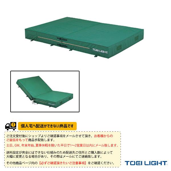 TOEI(トーエイ) 体育館用品設備・備品 [送料別途]屋内外兼用エバーマット 防水ポリエステル帆布 二つ折り 150×200×20cm G-1217「テニス・ソフトテニス・バドミントン・野球・ソフトボール・卓球・ランニング専門店」