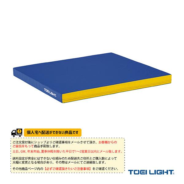 TOEI(トーエイ) 体育館用品設備・備品 [送料別途]プレイフォームマットF T-1662「テニス・ソフトテニス・バドミントン・野球・ソフトボール・卓球・ランニング専門店」