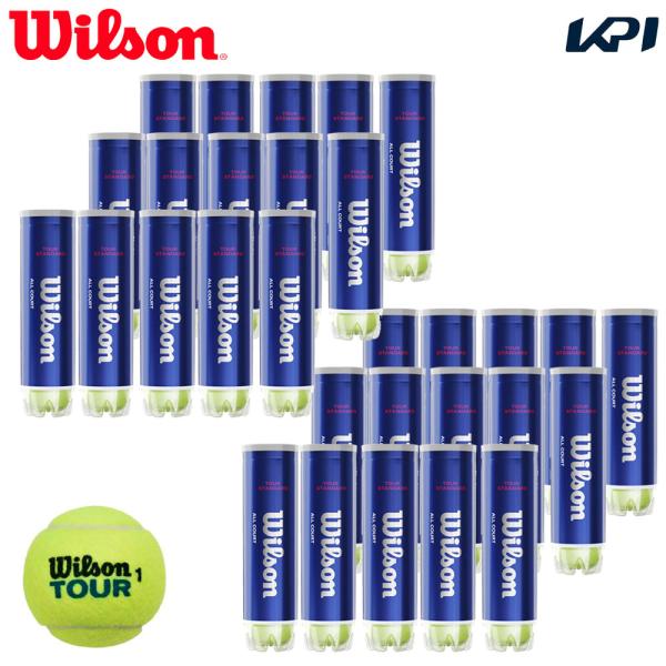 「部活応援キャンペーン5袋」 「SDGsプロジェクト」「2箱セット」Wilson ウイルソン 「TOUR STANDARD ツアー・スタンダード   15缶×2=120球  WRT103800」テニスボール『即日出荷』