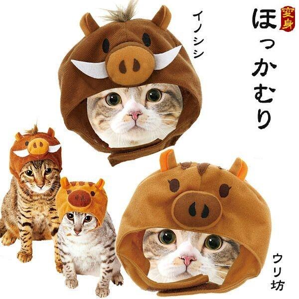 【アウトレット理由】畳みシワが出来てしまっています。上記理由のアウトレット商品とご理解いただける方のみご購入をお願いいたします。【商品詳細】猫ちゃんがほっかむるだけで大変身！かぶせてみたくなるおもしろデザイン♪着ぐるみウェアと合わせて上級コ...