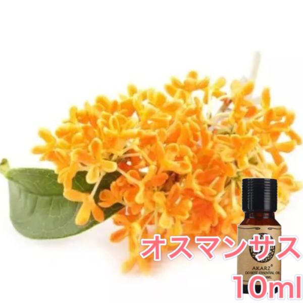 ●高品質な精油 エッセンシャルオイル●無希釈 純粋天然成分 人工成分不含有●世界中の生産者により丁寧に栽培、精油に最適な時期に収穫●成分の効果を最大限に発揮できる理想的で厳密に管理された採油方法●『VOGUE』『ELLE』『MAQUIA』『...