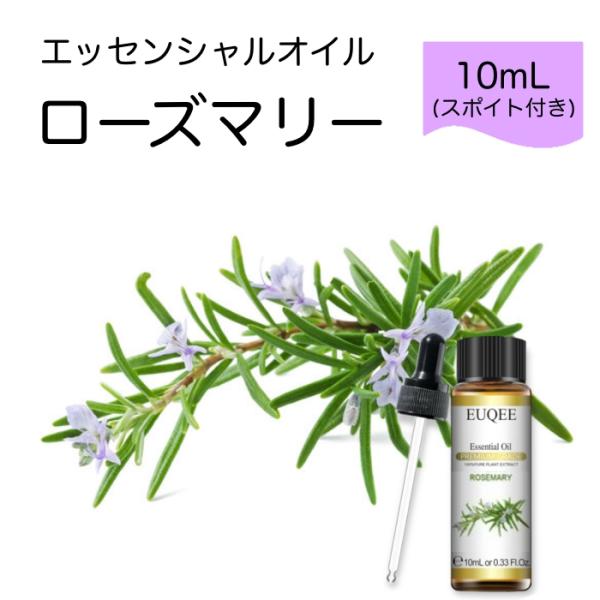 ●送料無料(クリックポスト/追跡可能)●香り(原料)：ローズマリー Rosmarinus officinalis●10mL×1本 (スポイト付)●抽出方法：水蒸気蒸留法●抽出部位：花と葉●高品質PREMIUM GRADE 無添加 無希釈 エ...