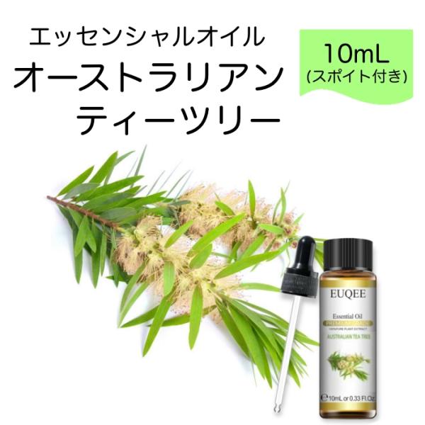 ●送料無料(クリックポスト/追跡可能)●香り(原料)：オーストラリアンティーツリー ティートゥリー Leptospermum laevigatum●10mL×1本 (スポイト付)●抽出方法：水蒸気蒸留法●抽出部位：葉と枝●高品質PREMIU...