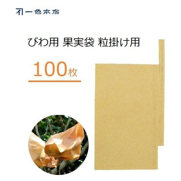 ■用途■・びわ、つぶ掛・田中用果実袋。・鳥や害虫、すれ傷からの保護に。・春早の雨避け寒さ対策と日焼け防止に。■特長■・果実の掛袋は育成途中に大切に実を守る袋です。・びわのつぶ掛け用(幼果実の1粒ごと袋掛します)にご使用ください。・飛び出し止...