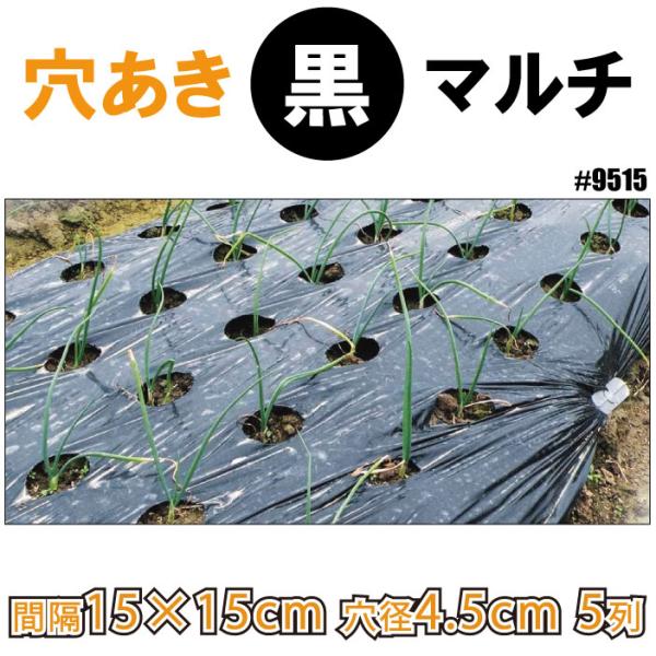 ■特長■・土壌乾燥や雑草防止用に。・地中の温度を高め、土中水分の蒸発を抑制します。・雨などによる土の跳ね上がりを防ぎ、ふわふわの土を保ちます。・光をさえぎり、雑草の発芽、生長を抑制します。・適した野菜：にんじん/ほうれん草/玉ねぎ/ニンニク...