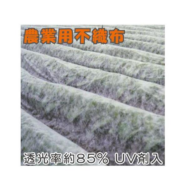 ■特長■・防霜、防鳥、防虫、保温に。・保温・通気・通水・透光の機能を持った農園芸専用不織布です。・UV剤入りで紫外線にも強く長持ちします。・透光率約85%です。・トンネル/べた掛けどちらでも使用できます。・サイズ：210cm×200m　2本...