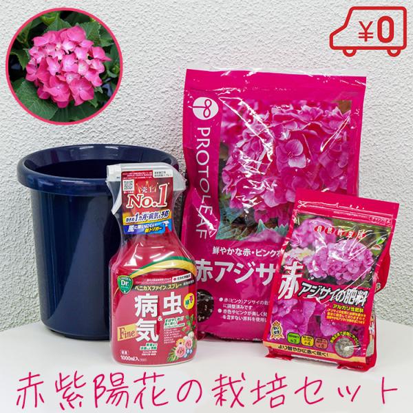 ■特長■・赤紫陽花の育成栽培を始めるのにおすすめの5種類セットです。・鉢：　　植え替えに便利な内面カット設計で、観葉植物など、背丈のある植物に最適です。　　通水性・通気性のよい底穴構造になっています。・赤あじさいの土(培養土)：　　赤アジサ...