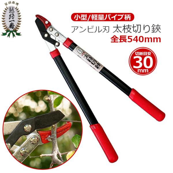 ■用途・庭木の剪定作業にお使いいただけます。■特長・太い枝がラクに切れるアンビル刃採用の剪定鋏です。・軽量、丈夫なパイプ柄を採用しています。・樹脂ハンドルで握りやすく、疲れにくいです。・小型タイプなので女性の方でも取り回しが便利です。■仕様...