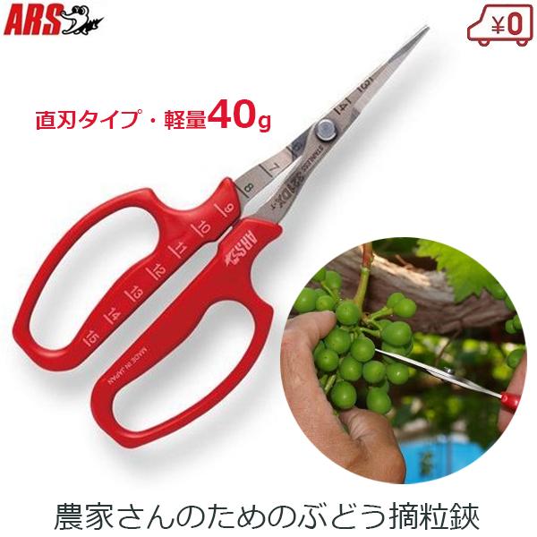■用途■・大粒ぶどうの摘粒用の直刃はさみです。■特長■・大粒ぶどう農家さんの意見を取り入れて開発した、大粒ぶどうのための「ぶどう摘粒鋏」です。・房の隙間を狙いやすく、実を傷つけない「細く薄い刃」で、ぶどうの摘粒作業をサポートします。・刃の先...