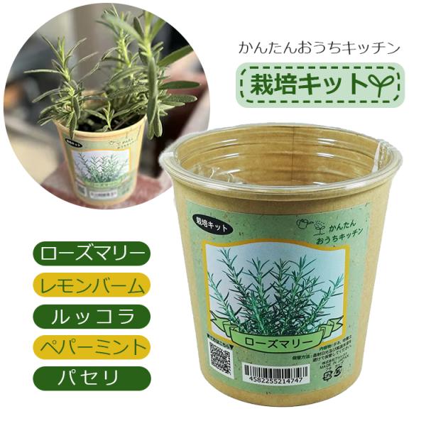 ■用途■・室内で育てる栽培キットです。・ローズマリー/レモンバーム/ルッコラ/ペパーミント/パセリからお選びください。■特長■・カップは穴あけが必要なく、付属の水やり兼、皿の透明容器を使って、適切な水やりが可能です。・好きな時に使いたい分だ...