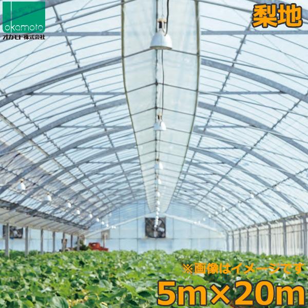 ※こちらの商品はビニールハウス・菜園用のフィルムとなります。ビニールハウスのパイプ等は含まれておりません。■用途・ビニールハウス、ビニールトンネル、マルチなど■特長■・保温性に優れた農業用ビニールです。・寒さの厳しい季節の防寒対策にもおすす...