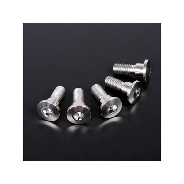 ●メーカー名：ジータ / ZETA●商品名：チタン ブレーキディスクボルト シンヘッド φ10-M8×20（5本） リヤメーカー品番：D6927JANコード：4547836244568FZ-1SFZ1 FZ1（FZ1-N）MT-07MT-0...