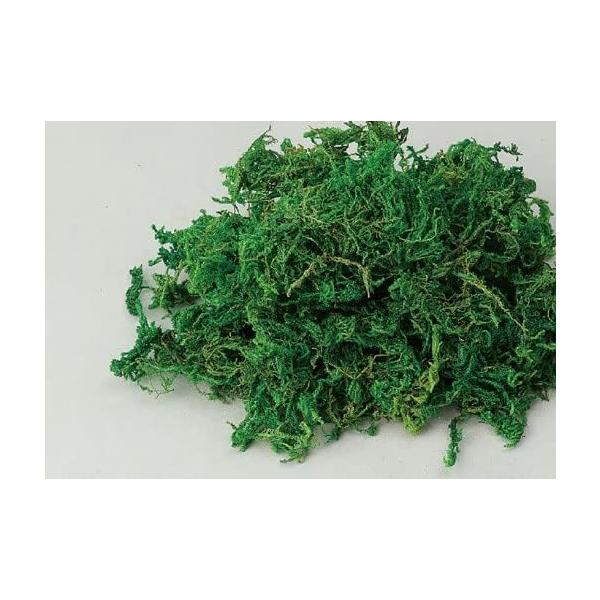 グリーンアレンジメントに最適!きれいな状態で長く楽しめます。色鮮やかなプリザーブドモス■チャック付きPP袋■材質：苔■容量：約10g■メーカー：アーテック(artec)検索ワード：園芸、ジオラマ、情景