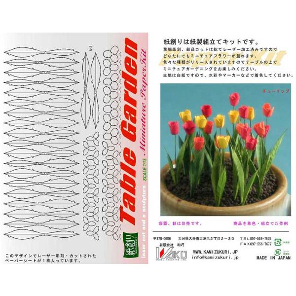 よれた葉が特徴のチューリップです。花は部品の組合せで表現します。色合いに凝ってみませんか。※この商品は塗装、組み立てが必要です。※容器、鉢は別売りです。■キット内容：■材質：再生紙、地巻きワイヤー■メーカー：和巧検索ワード：ペーパークラフト...