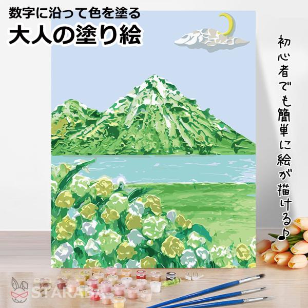 数字が振られたキャンパスに、その数字に対応する絵の具を塗っていくだけで、超絶きれいな絵が描ける。ホーム用としてもオフィス用飾りとしても使えますし、手芸系が好きな人へのギフトとしても最高です！！