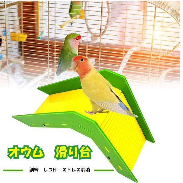 中小のオウムにおすすめです。 安全で毒性のない素材：おもちゃは厚いアクリルでできています。染料は使用しないでください。鳥を傷つける可能性があります。 遊びと訓練：オウムの毎日の遊びと訓練に適しています。 ストレス解消：オウムの退屈を減らし、...