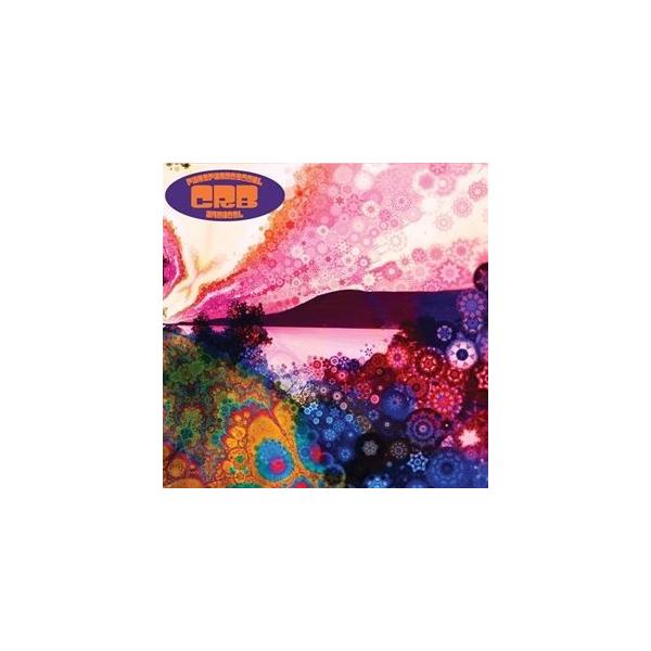 【発売日：2014年04月29日】種別:LP 【輸入盤】 洋楽ロック 発売日:2014/04/29 登録日:2018/11/09 クリス・ロビンソン・ブラザーフッド フォスフォレッセント・ハーベスト 内容:1. Shore Power2. ...