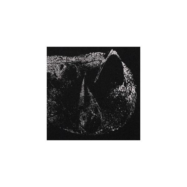 【発売日：2021年03月26日】種別:CD 【輸入盤】 洋楽ハードロック/ヘヴィメタル 発売日:2021/03/26 登録日:2021/01/22 デーモン・ヘッド ヴィセラ 内容:1. Tooth And Nail2. The Feli...